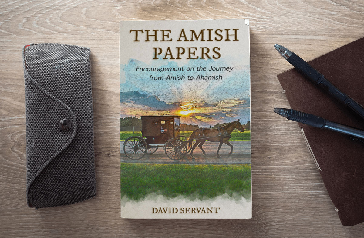 The Amish Papers - David Servant