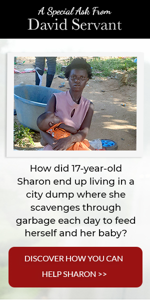 HeavenWord 7 Video Devotions - 7 Minute Devotionals Every Weekday