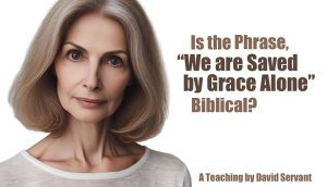 e-Teachings Archives - David Servant