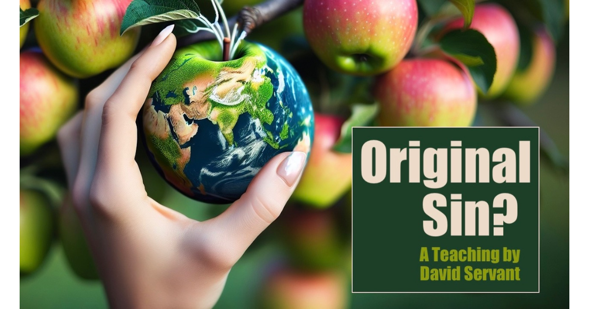 Original Sin? - David Servant