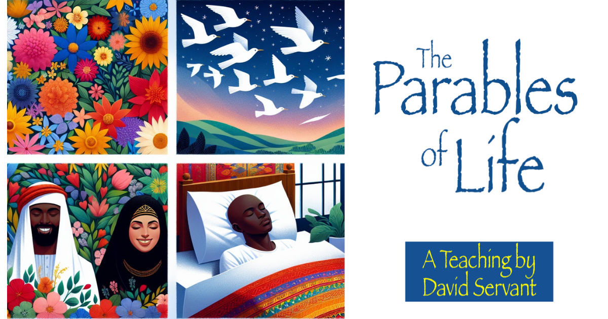 The Parables of Life - David Servant