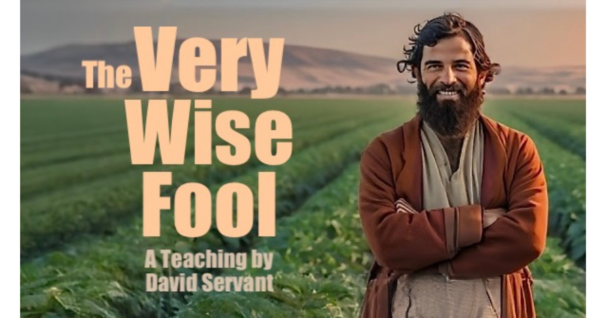 The Very Wise Fool - David Servant