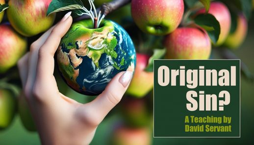 Original Sin? - David Servant