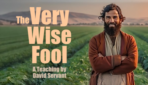 The Very Wise Fool - David Servant