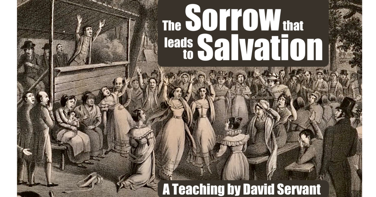 The Sorrow that Leads to Salvation - David Servant