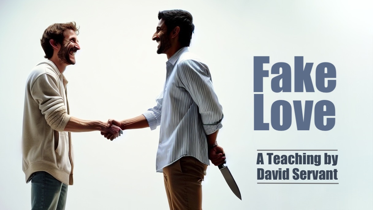 Fake Love - David Servant